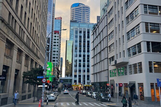 Private Auckland City Tour Including Auckland Tour House Visit - Who is This Tour Best For?