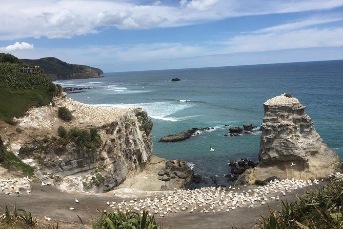 Private Auckland City Tour Including Auckland Tour House Visit - FAQs