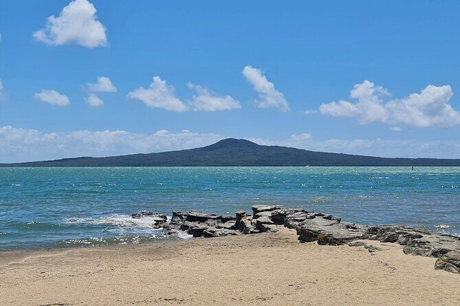 [PRIVATE] Auckland Half Day City Tour - Authentic Experiences and Local Insights