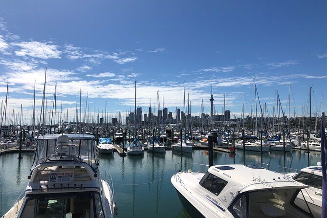 Private Auckland Half Day Tour - Key Points