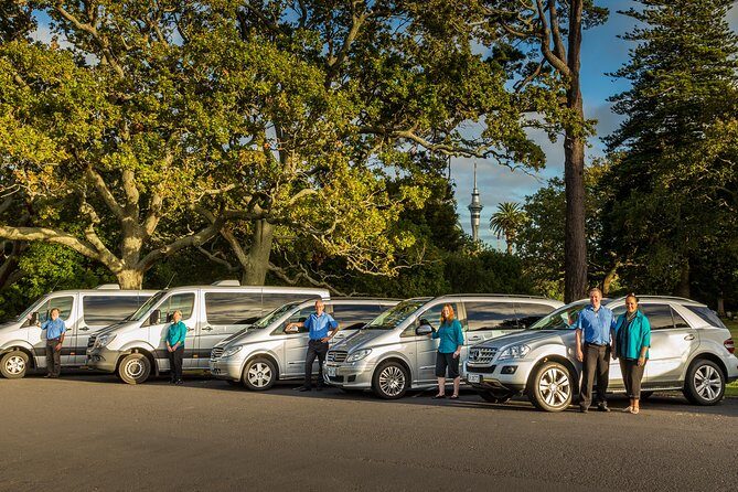 Private Auckland Half Day Tour - Transport and Comfort