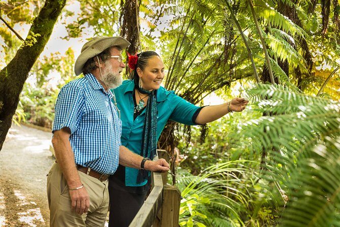 Private Auckland Half Day Tour - Who Should Book This Tour?