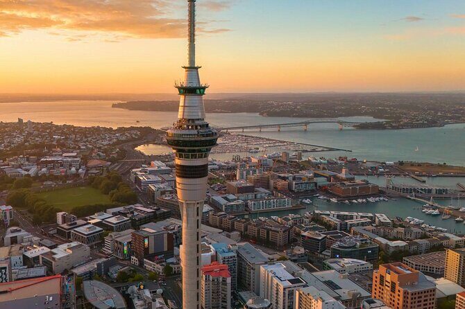 Private Auckland Half Day Tour of Attractions and Museums - A Close Look at the Itinerary