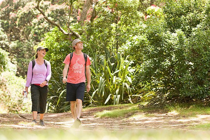 Private Auckland Luxury Tour - Piha Beach: The West Coast’s Wild Side