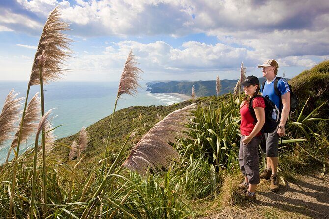 Private Auckland Luxury Tour - Mount Eden: A Volcanic Summit with Spectacular Views
