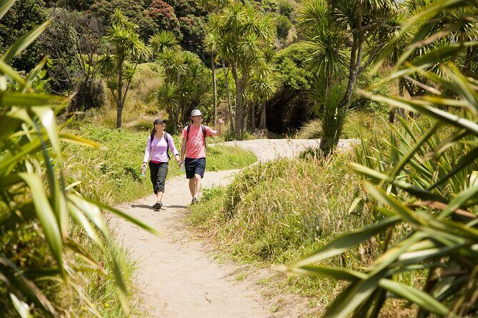 Private Auckland Luxury Tour - The Waitakere Ranges and Karekare