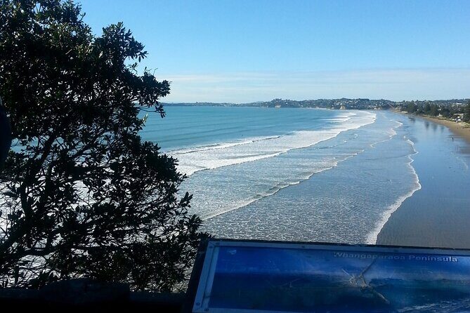 Private Auckland North Eastern Coast Tour - An In-Depth Review of the North Eastern Coast Tour