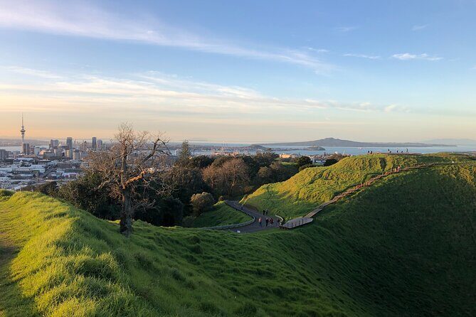 Private Auckland Personalised Half Day - What are the benefits of a private, personalized tour?