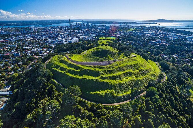 Private Auckland Shore Excursion: Half-Day City Highlights - Your Customizable Auckland Experience