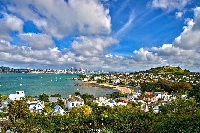 Private Auckland Shore Excursion: Half-Day City Highlights - Practical Details: What to Expect