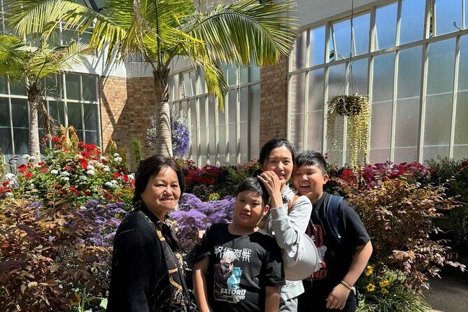 Private Auckland Shore Excursion: Half-Day City Highlights - Who Would Love This Tour?