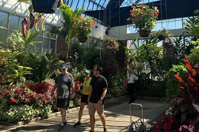 Private Auckland Shore Excursion: Half-Day City Highlights - Final Thoughts