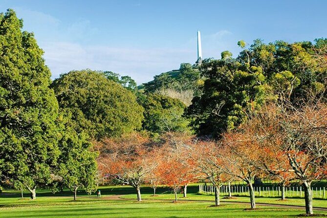 Private Auckland Sightseeing - Full Day/Half Day Hidden Gems Tour - The Verdict: Is This Tour Worth It?