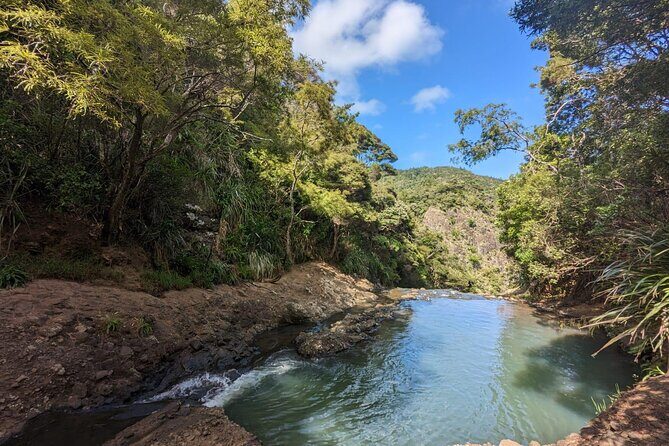 Private Auckland Sightseeing - Full Day/Half Day Hidden Gems Tour - FAQ