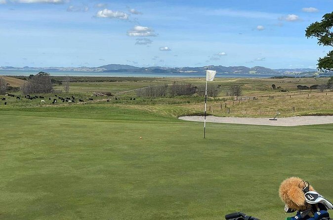 [PRIVATE] Auckland Signature Golf - Final Thoughts: Who Is This Tour Best For?