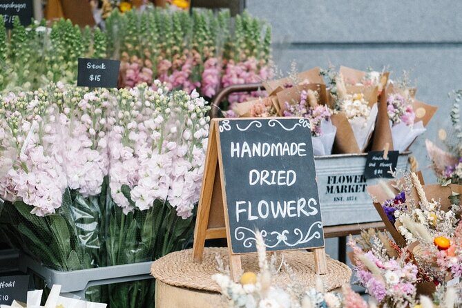 Private Auckland Tour - Who Is This Tour Best Suited For?