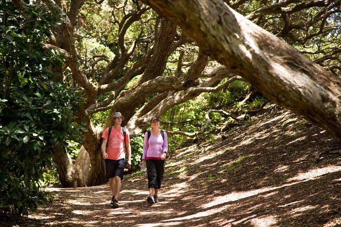 Private Auckland West Coast Day Tour - Price & Value Consideration