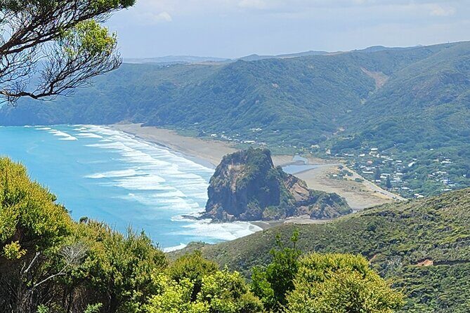 Private Auckland West Coast Tour Piha Beach and Karekare Falls - The Itinerary in Detail
