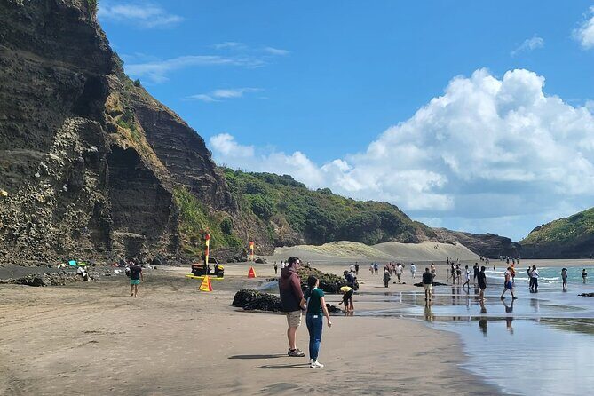 Private Auckland West Coast Tour Piha Beach and Karekare Falls - Who Is This Tour Best Suited For?