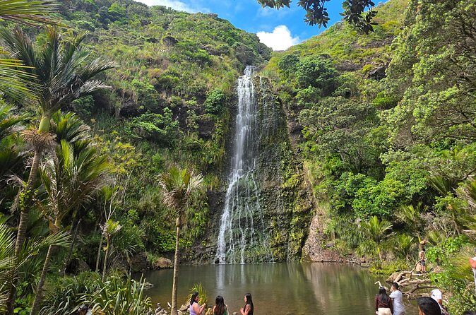 Private Auckland West Coast Tour Piha Beach and Karekare Falls - FAQ