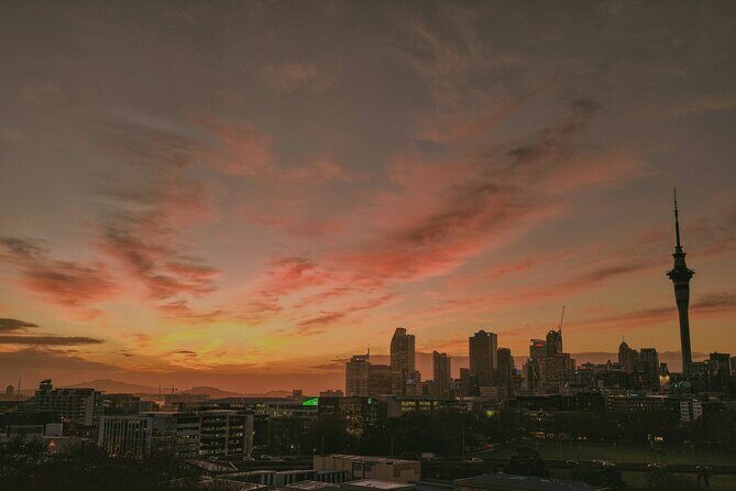 Private Auckland's Urban Charm Half Day Tour - A Closer Look at the Itinerary