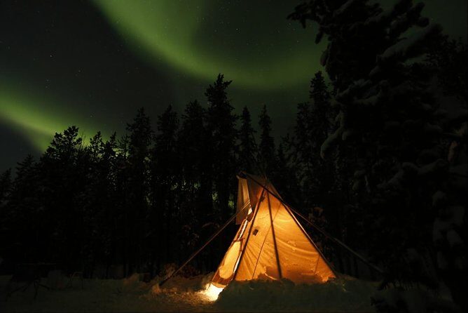 Private Aurora Viewing Experience - The Experience: What to Expect