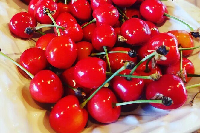 Private Authentic Family Home Local Lunch from Farm From Split - Key Points