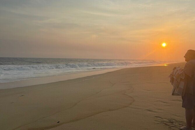 Private Baby Sea Turtle Release Huatulco HT - What the Tour Entails: A Detailed Breakdown