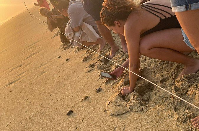 Private Baby Sea Turtle Release Huatulco HT - Final Thoughts: Is It Worth It?