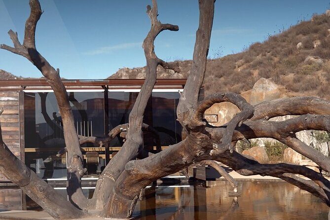 PRIVATE BAJA WINERIES EXPERIENCE (Transportation,concierge,custom schedule) - Who Would Love This Tour?