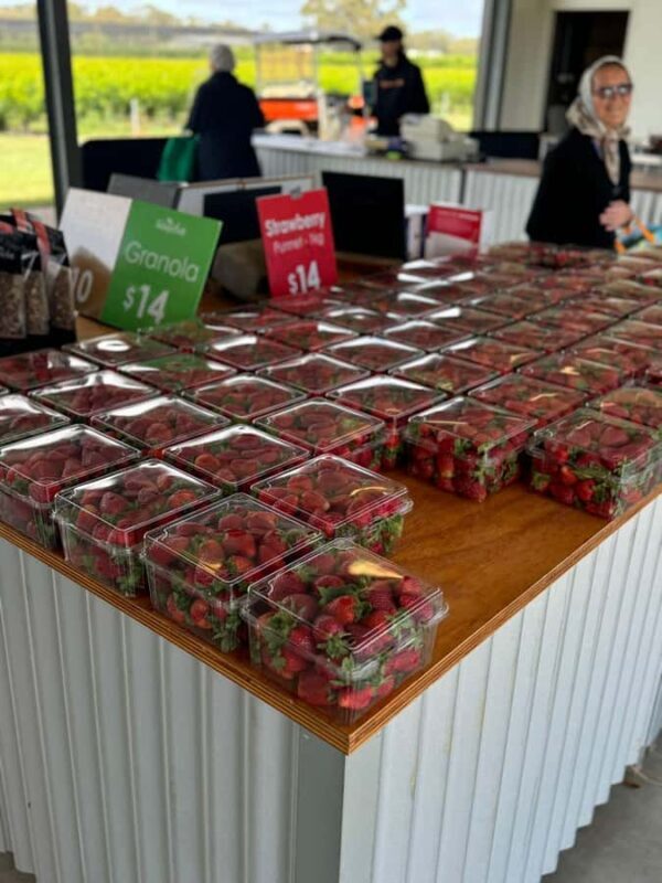 Private Ballarat Sovereign Hill Gold Mine Tours - The Real Value in This Tour