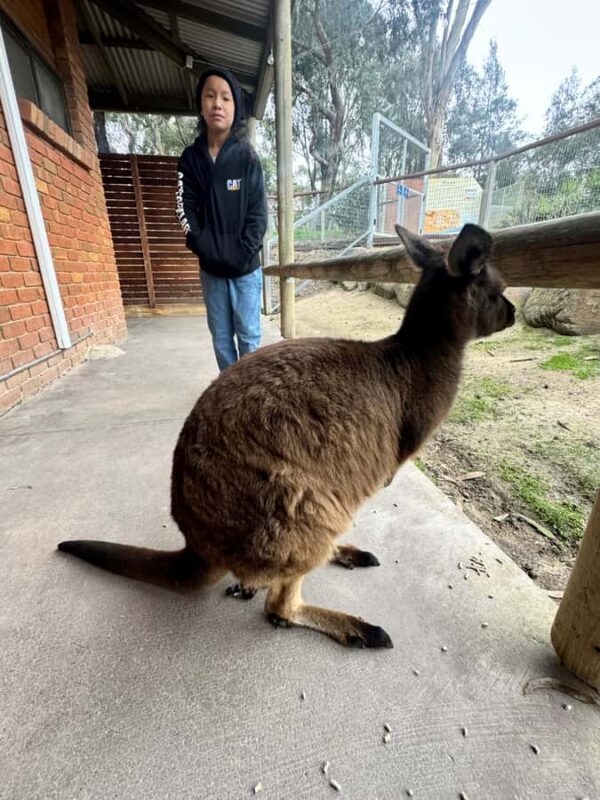 Private Ballarat Sovereign Hill Gold Mine Tours - Who Will Love This Tour?