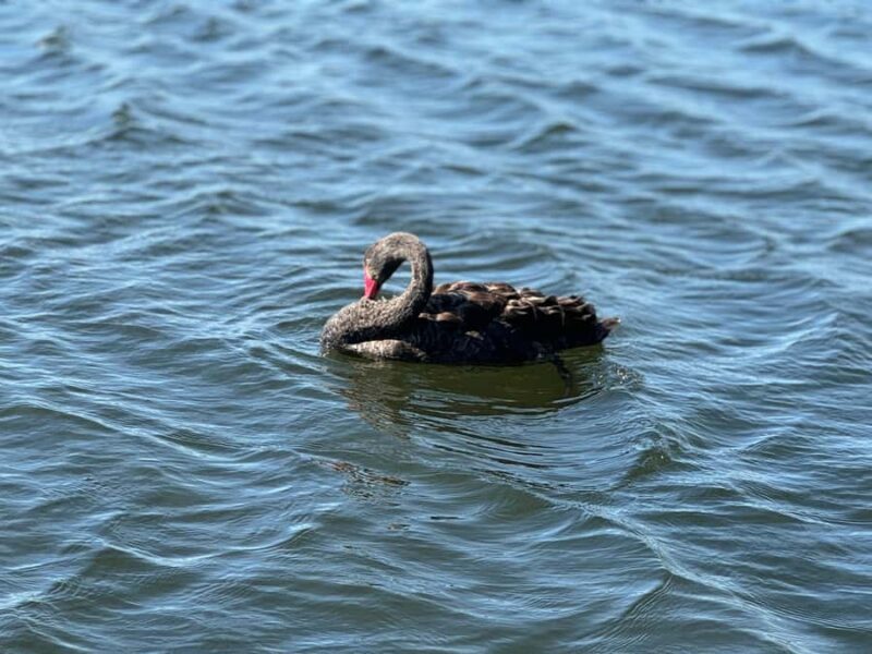 Private Ballarat Sovereign Hill Gold Mine Tours - Final Thoughts