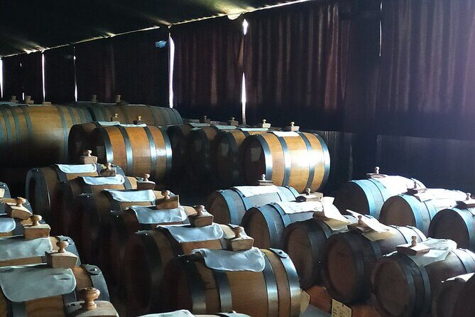 Private Balsamic vinegar & Parmigiano Reggiano factory visits - Exploring the Day in Detail