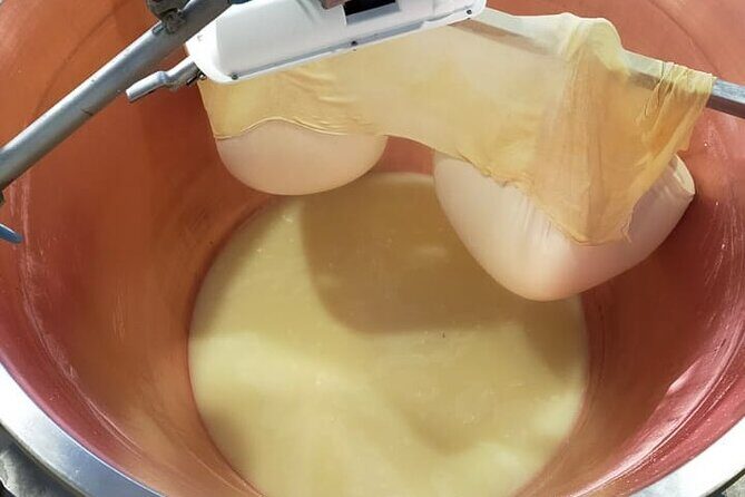 Private Balsamic vinegar & Parmigiano Reggiano factory visits - FAQ