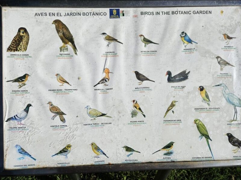 Private Bandama Caldera Volcano, Botanic Garden & Old Town - Final Thoughts