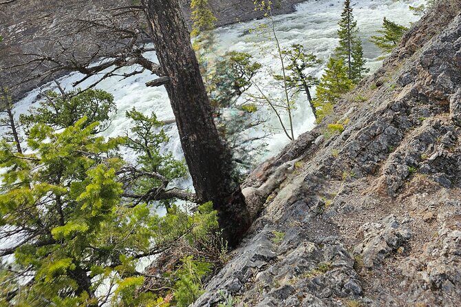 Private Banff Tours - FAQ