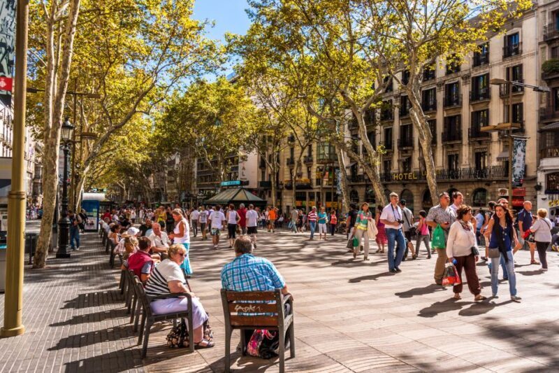 Private Barcelona & Montserrat Tour with Pick-up - Who Is It Best For?