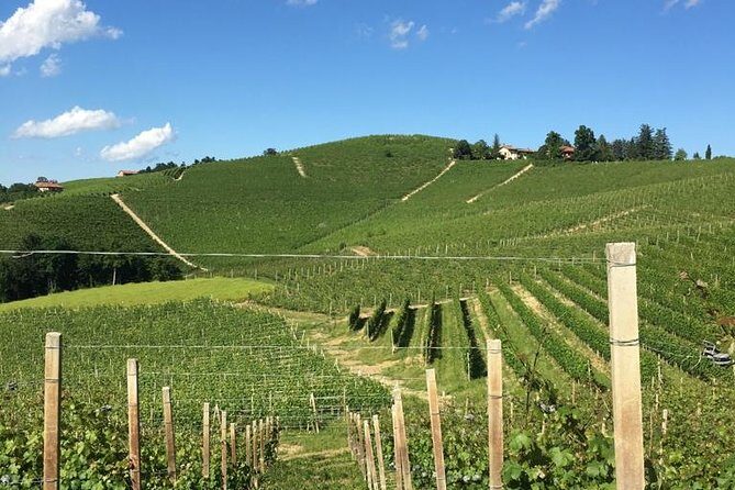 Private Barolo / Barbaresco - Piedmont Wine Tours and Tastings - Transportation and Duration: Why They Matter