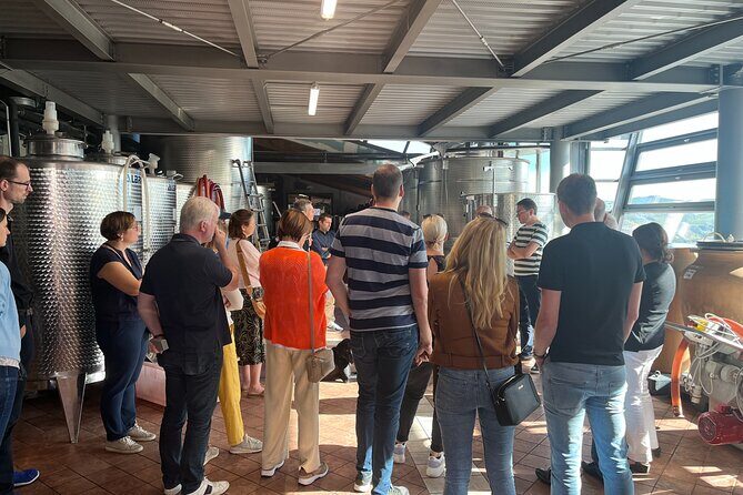 Private Barolo Wine Tour with Winemaker - Why Choose This Tour?