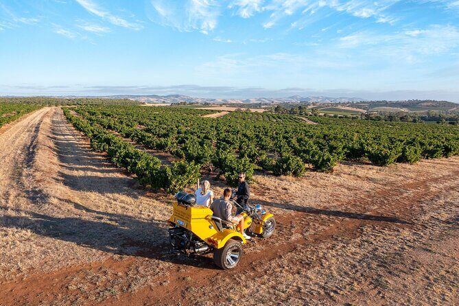 Private Barossa's Best Sightseeing Tour for Two - An In-Depth Look at the Tour Itinerary