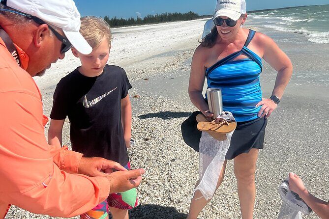 Private Barrier Island Shelling Tour - Analyzing Value and Pricing