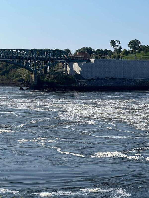 Private Bay of Fundy and City Highlights Tour up to 7 - Discovering the Charm of Saint John and the Bay of Fundy: A Practical Review