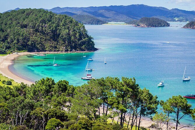 [PRIVATE] Bay of Islands Discovery From Auckland - The Iconic Hole in the Rock