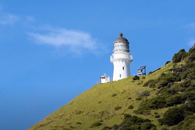 [PRIVATE] Bay of Islands Discovery From Auckland - Marine Wildlife Encounters