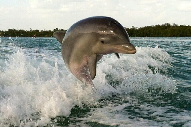 Private Beach or Sunset Boat Tour In Naples Florida - Final Thoughts