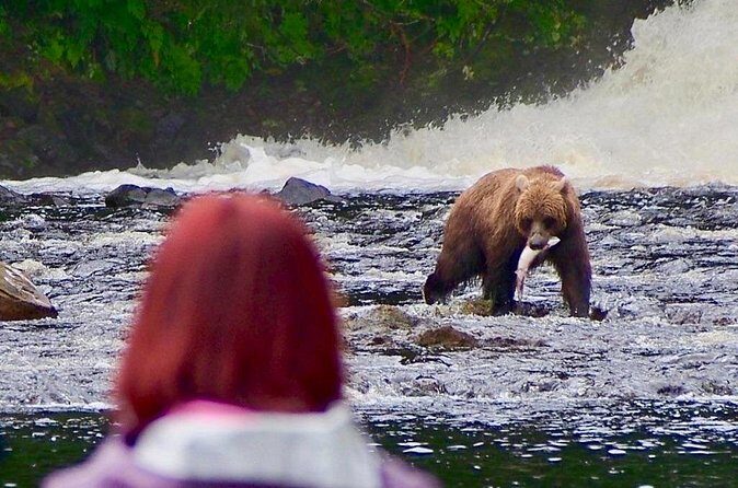 Private Bear Viewing at Waterfall Creek - FAQs