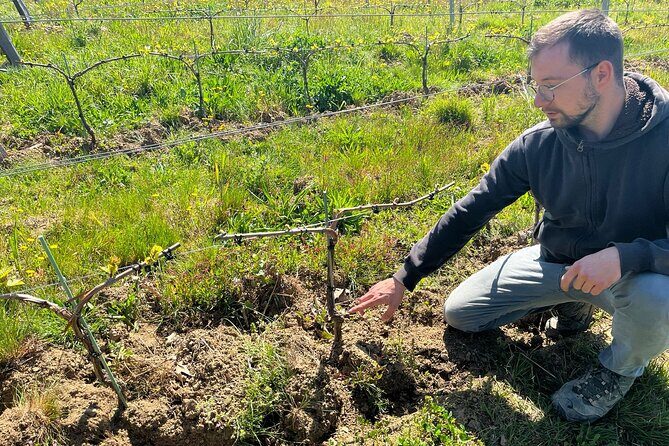 Private Beaujolais wine tour - FAQ