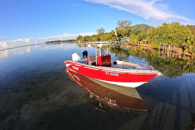 Private Big Game Fishing Day - Who Will Love This Experience?