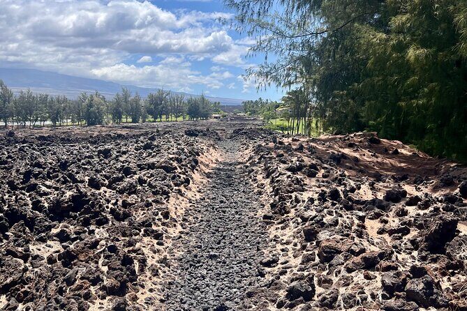 Private Big Island: History & Local Market Tour (Up to 12) - A Detailed Look at the Big Island Private Tour